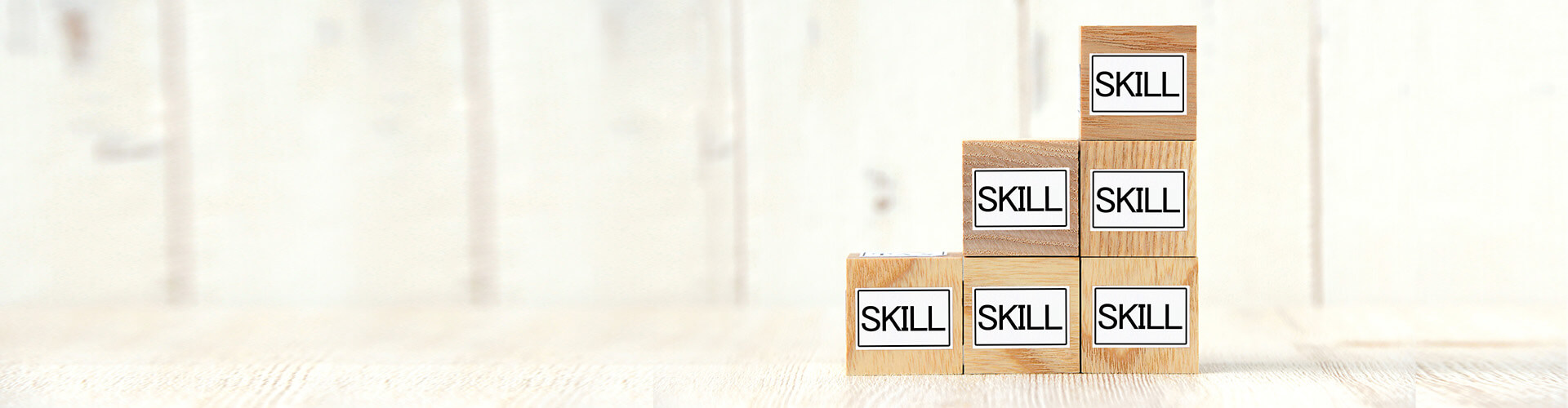 Employment Fundamentals of Career Transition (EFCT)